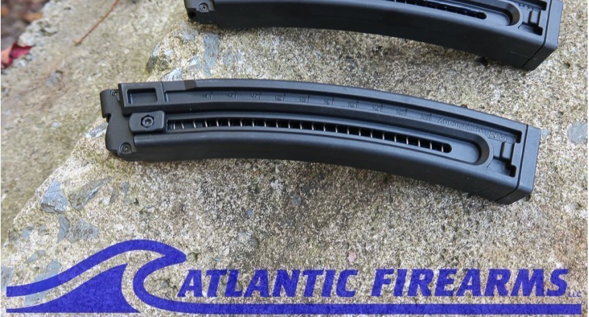 GSG-16 .22LR 22 ROUND MAGAZINE TWIN PACK-GERMAN SPORT GUNS ...
