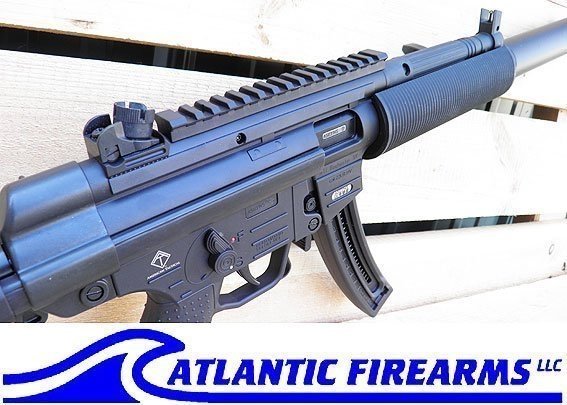 German Sport GSG 522 Light weight Carbine with Collapsing Stock, Ribbed ...