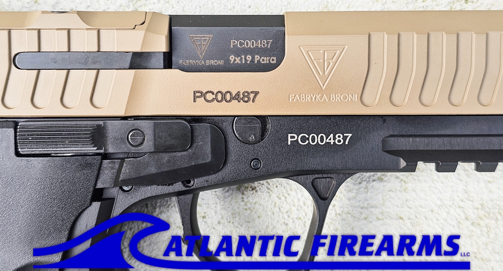 VIS-100 Pistol SALE - AtlanticFirearms.com