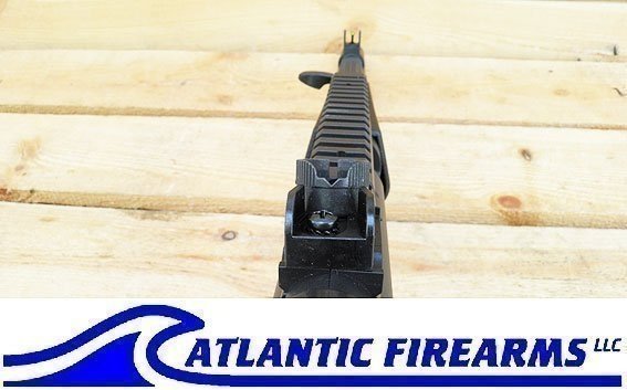 German Sport GSG 522 Light weight Carbine with Retractable Stock ...